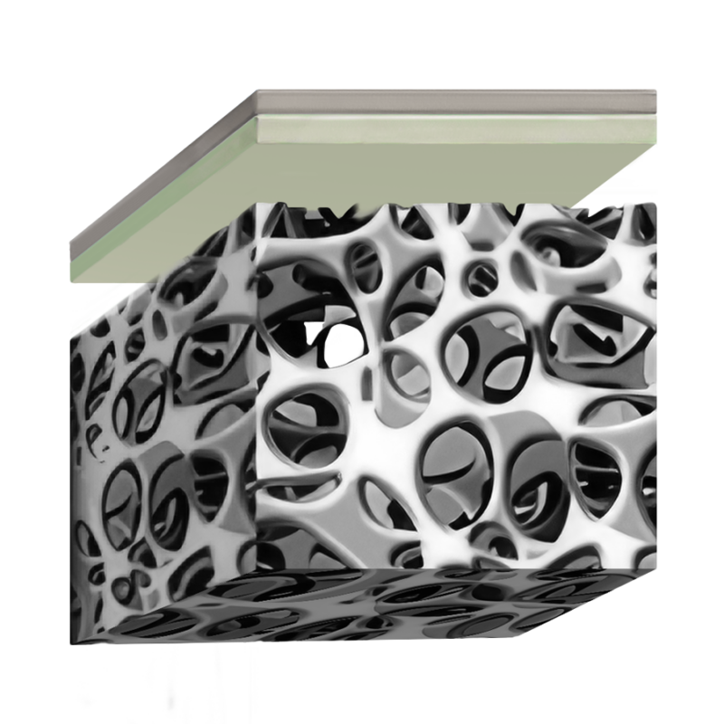 BTM - PMI – The Wound Healing Company